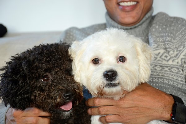 Pair Of Adopted Dogs Bring Joy To Don Lemon's Home - 27 East