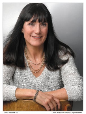 Diana Bletter, Former Press Reporter, Pens Debut Novel Inspired By ...