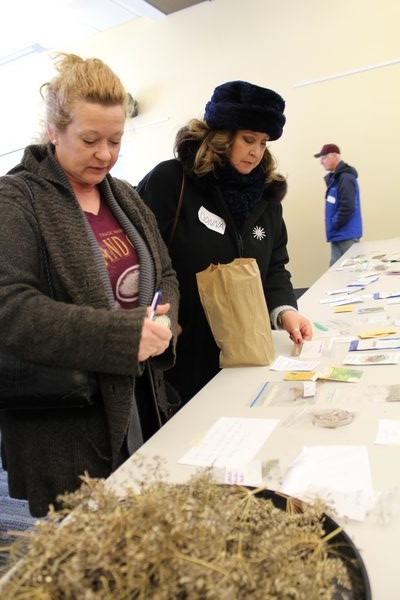 Seed Stewards Unite - 27 East