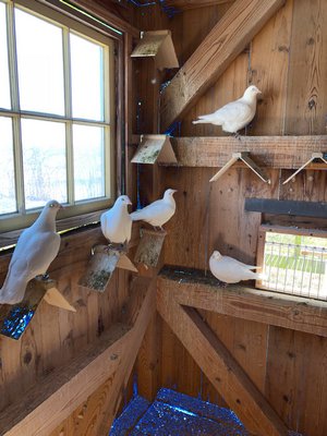 Bird House: Doves Flock to Designer Loft - 27 East