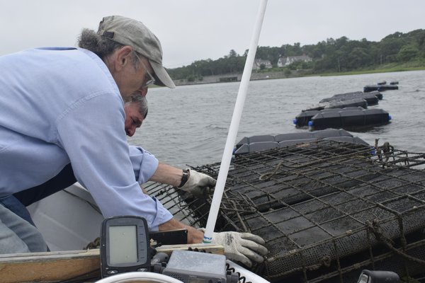 Shellfish Hatcheries Continue To Blossom; State Funding Could Be Coming ...