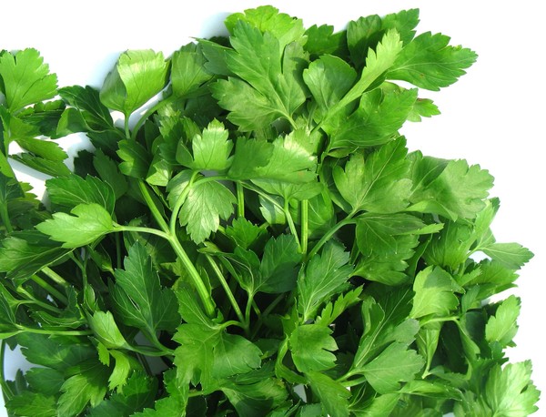 The Importance Of Parsley - 27 East