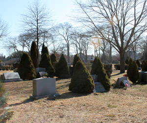 Town Trustees reject land swap with Westhampton Cemetery Association ...