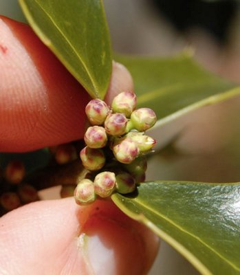 Spring: Better Late Than Never - 27 East