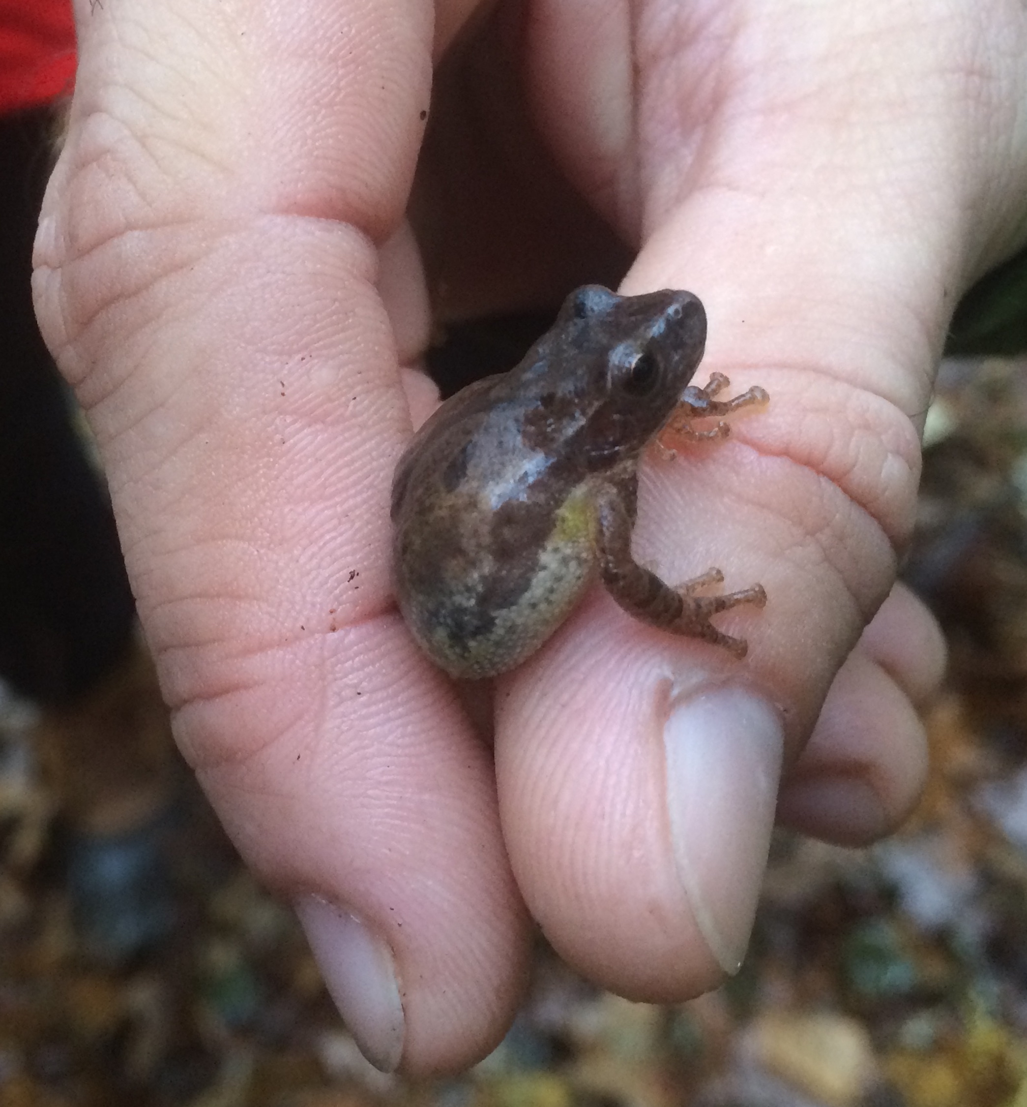 Natural History Weekend - 27 East