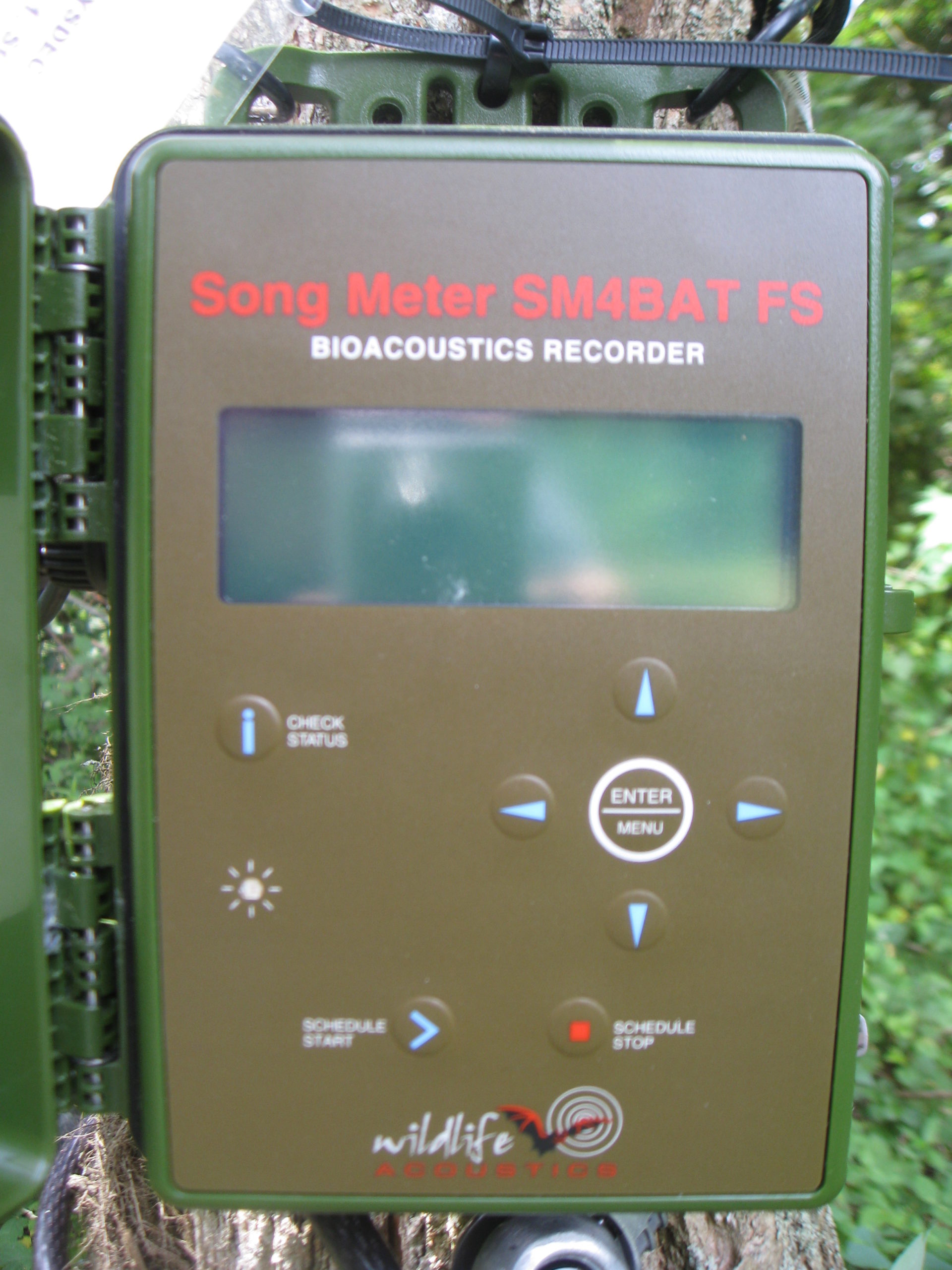 The Bats Have Come Home To Roost - 27 East