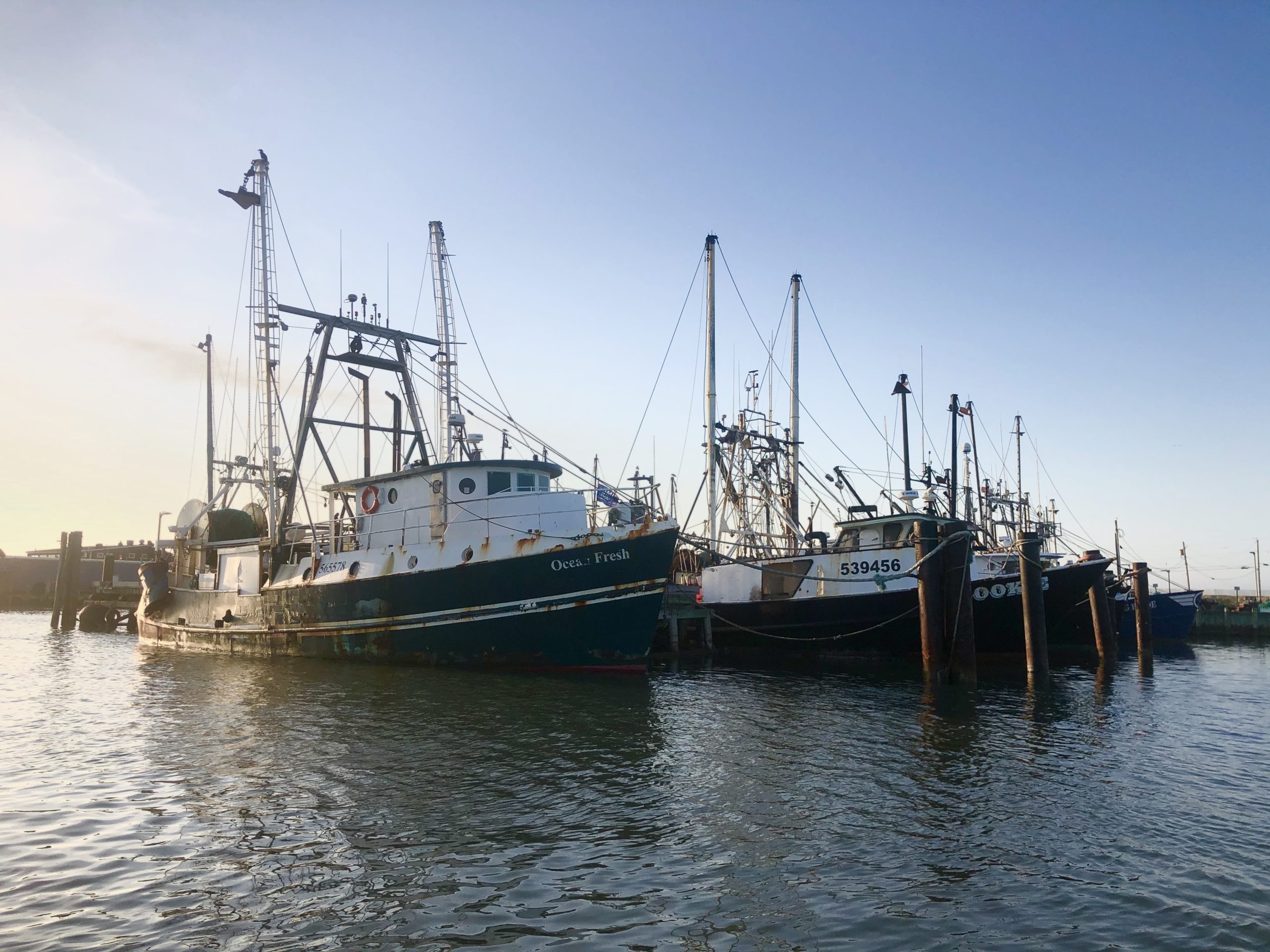 fishermen-finding-windows-of-opportunity-necessity-opened-by