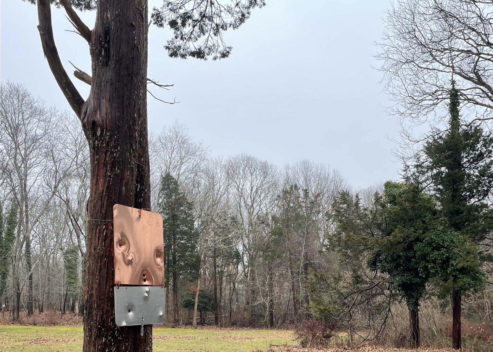 Straight Shooting Artist - 27 East