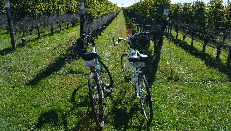 Self Guided Bike Tours - 27 East