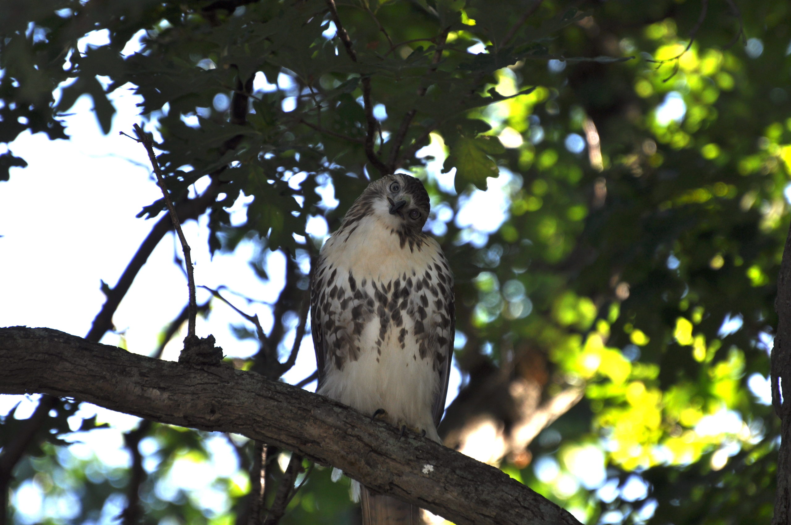 Andrew Messinger's Instagram, Twitter & Facebook on IDCrawl