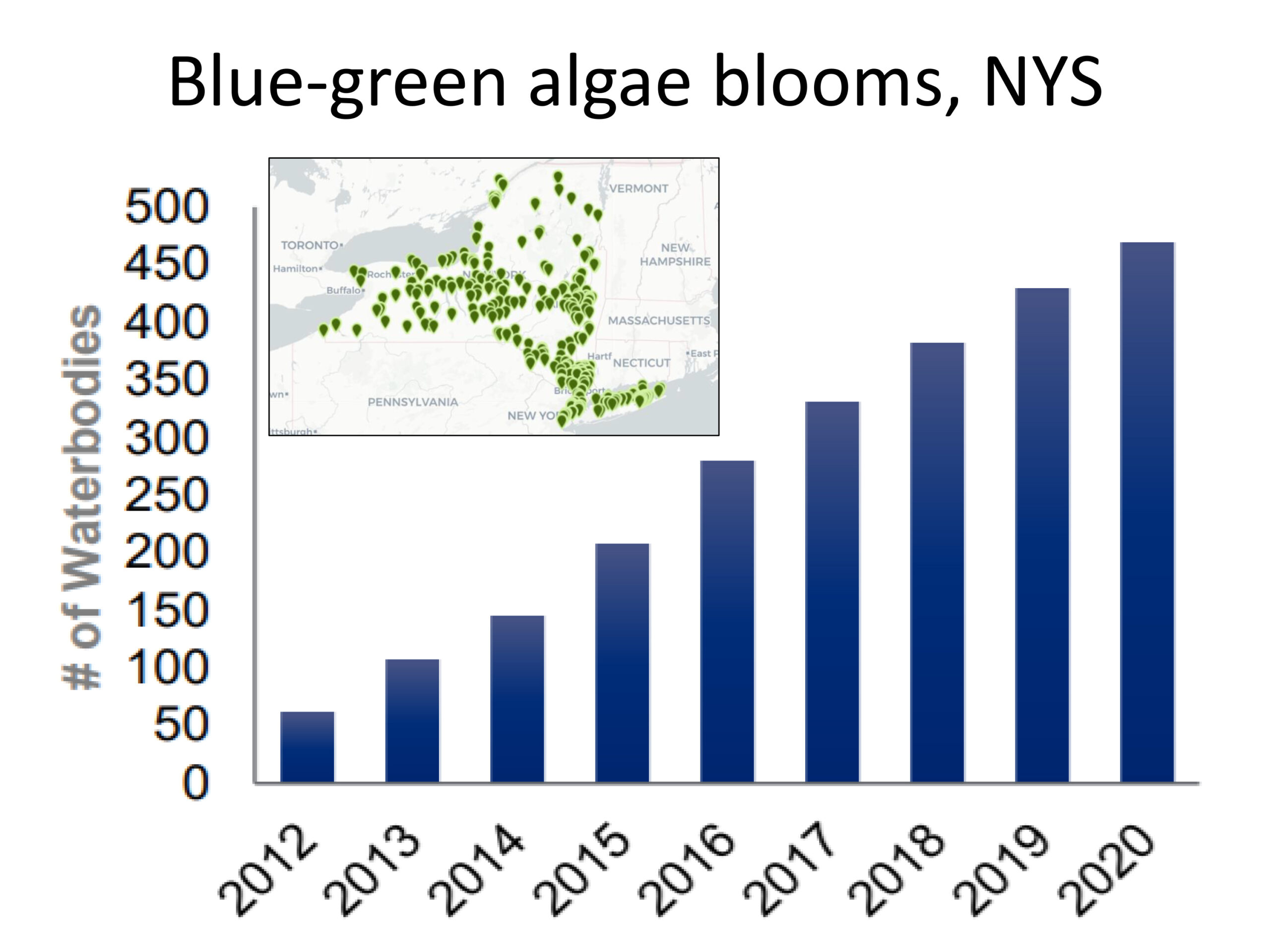 Algae Blooms Continue To Wreak Havoc, But Kelp And Shellfish Provide ...