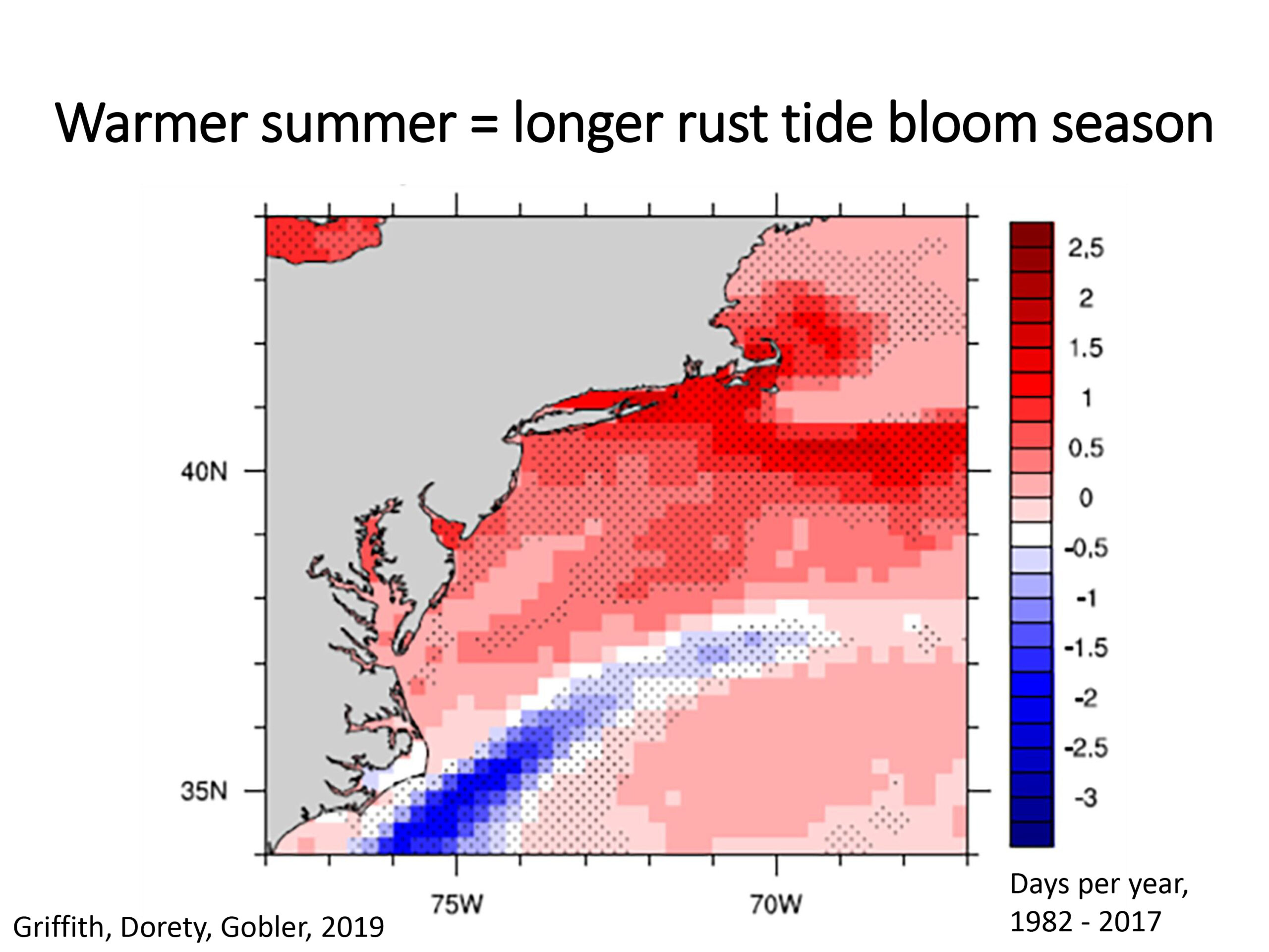 Algae Blooms Continue To Wreak Havoc, But Kelp And Shellfish Provide ...