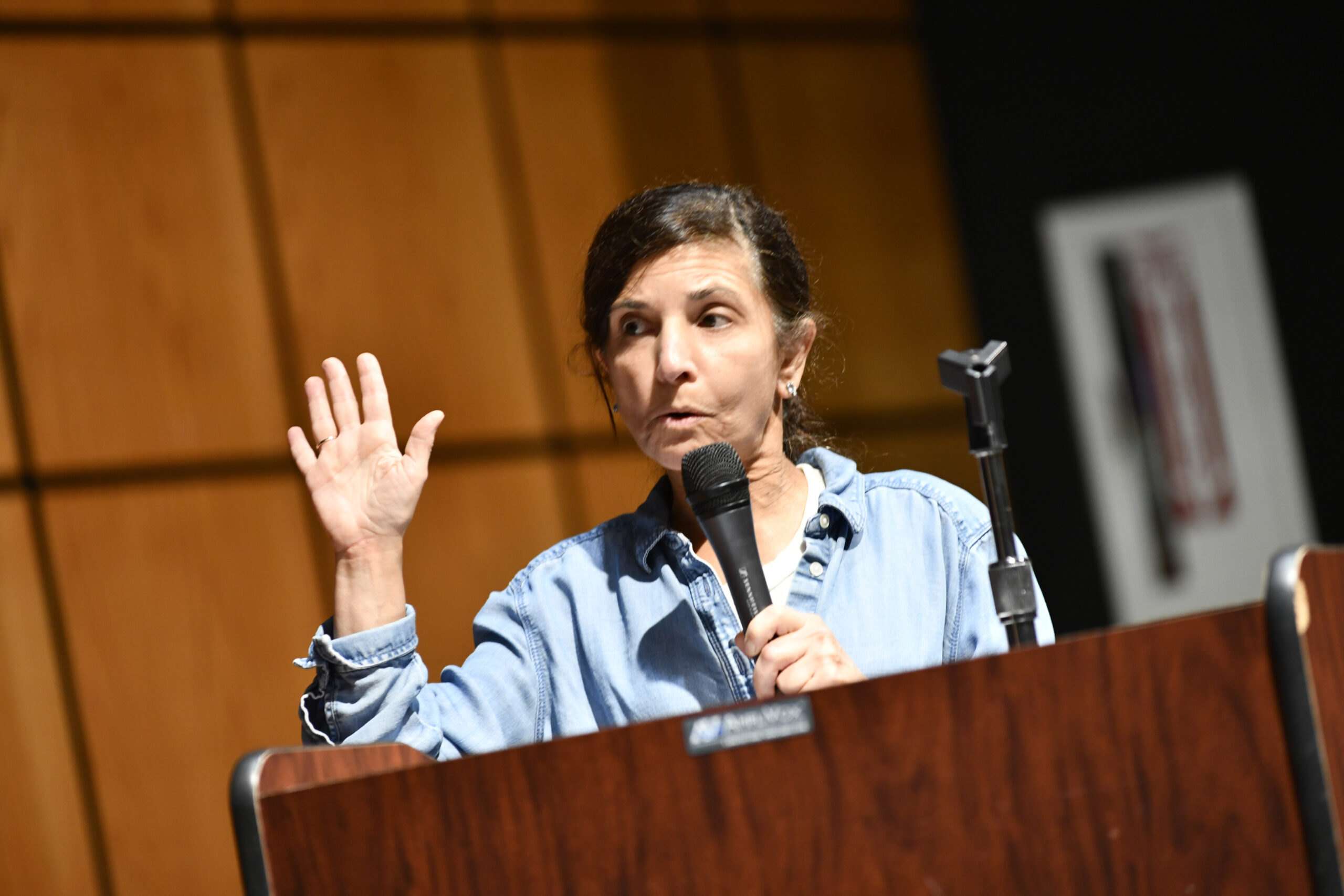 Rebellious Crowd Packs Auditorium For Redevelopment Forum In Hampton ...