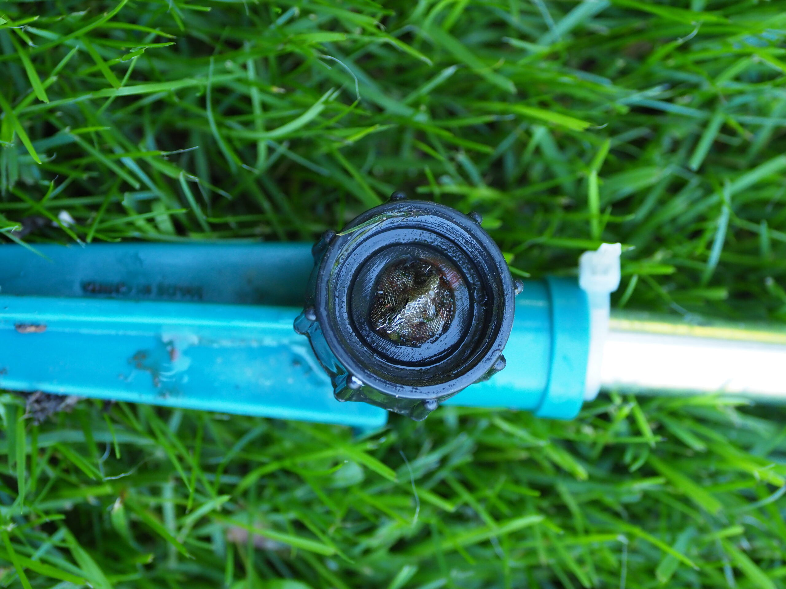 The East End Is Officially In A Drought: How To Handle it - 27 East