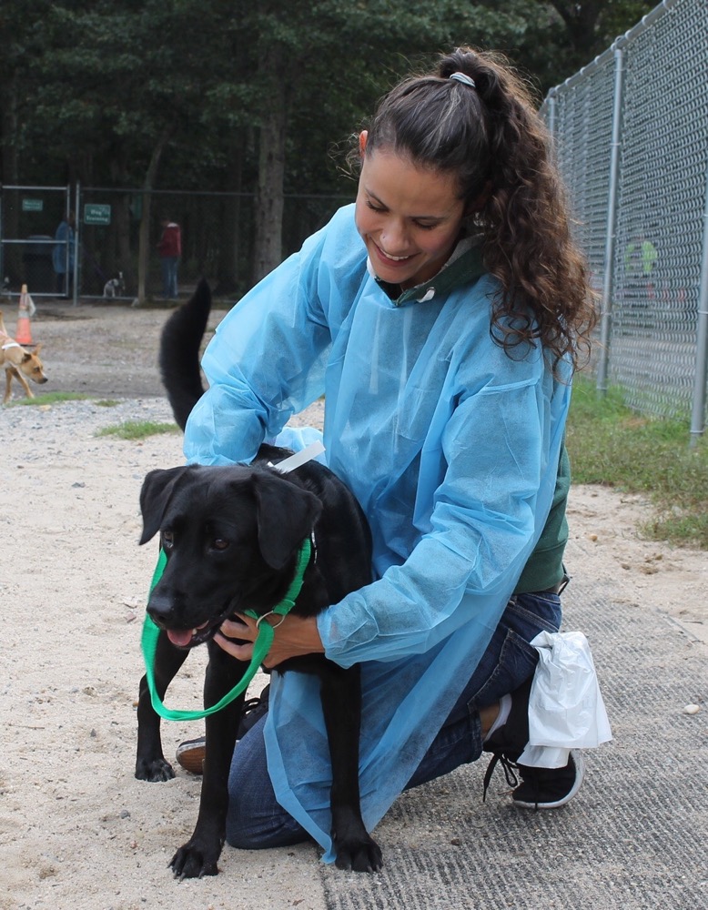 In Latest Relief Effort, ARF Rescues Dogs from South Carolina - 27 East