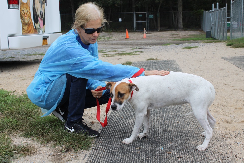 In Latest Relief Effort, ARF Rescues Dogs from South Carolina - 27 East
