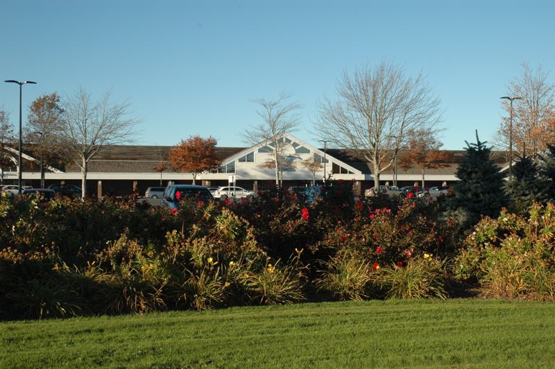 Screening, If Not a Berm, Will Return to Commons - 27 East