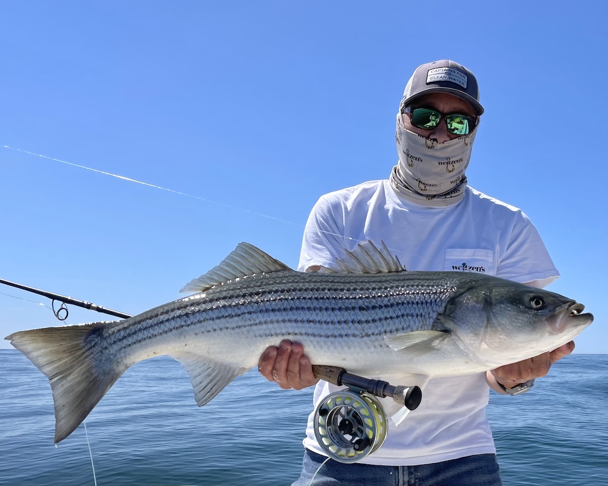 Gone Fishin' or Fishin' Gone? New Striped Bass Catch Limits | 27Speaks